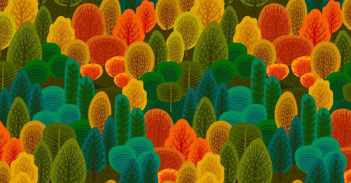 2月投資組合報告-時人不識凌雲木，直待凌雲始道高